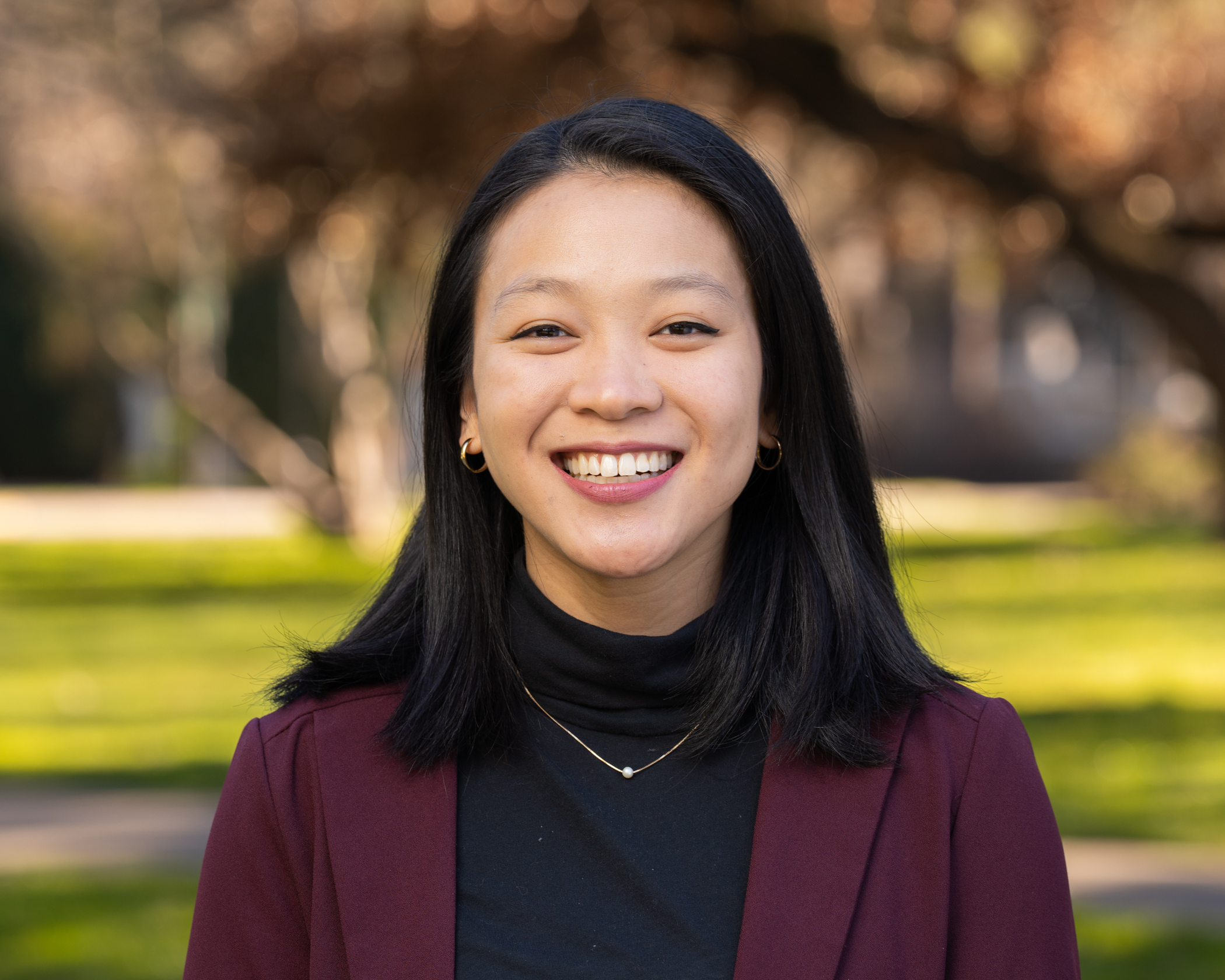 Paige Pellaton, PhD – State politics, legislatures, committee systems